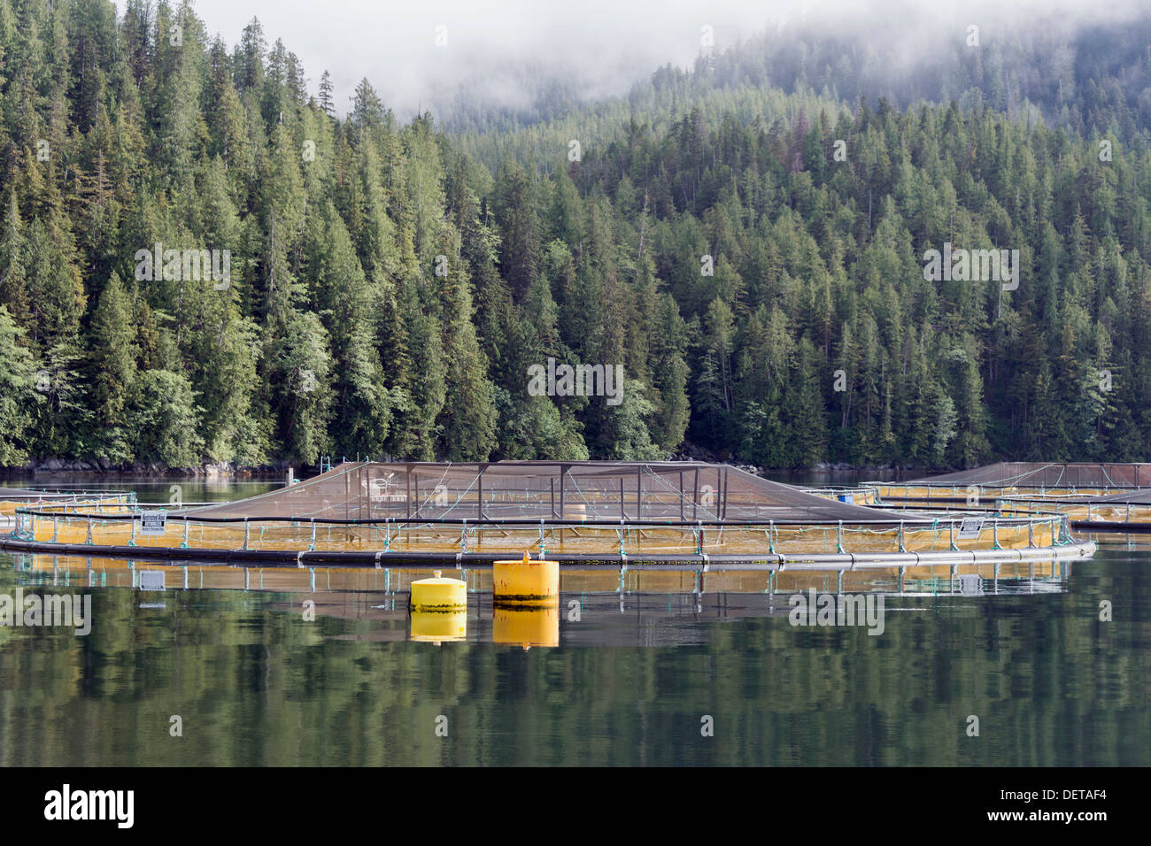 Closed containment salmon farm, Mussel Inlet, mid-coast British ...