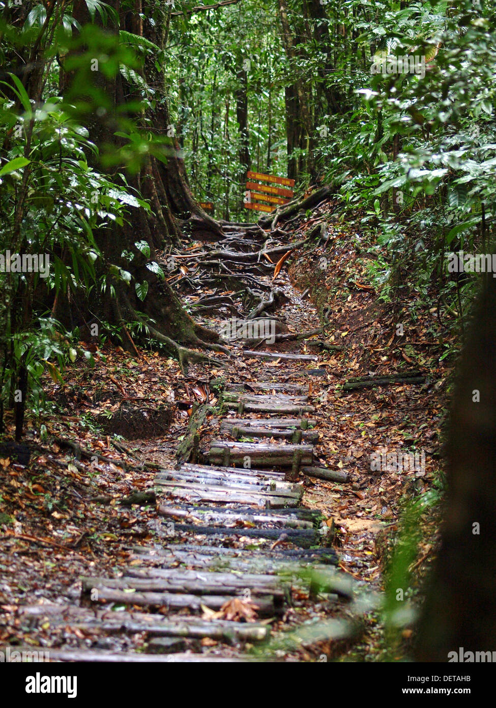 The path to Middleham Falls in Commonwealth of Dominica, Caribbean ...