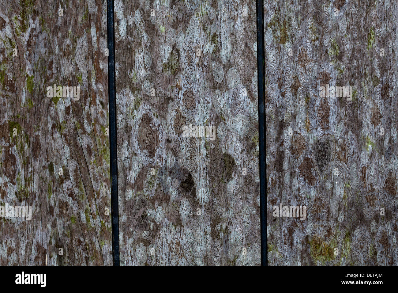 wood texture color shape volume line contrast background useful ...