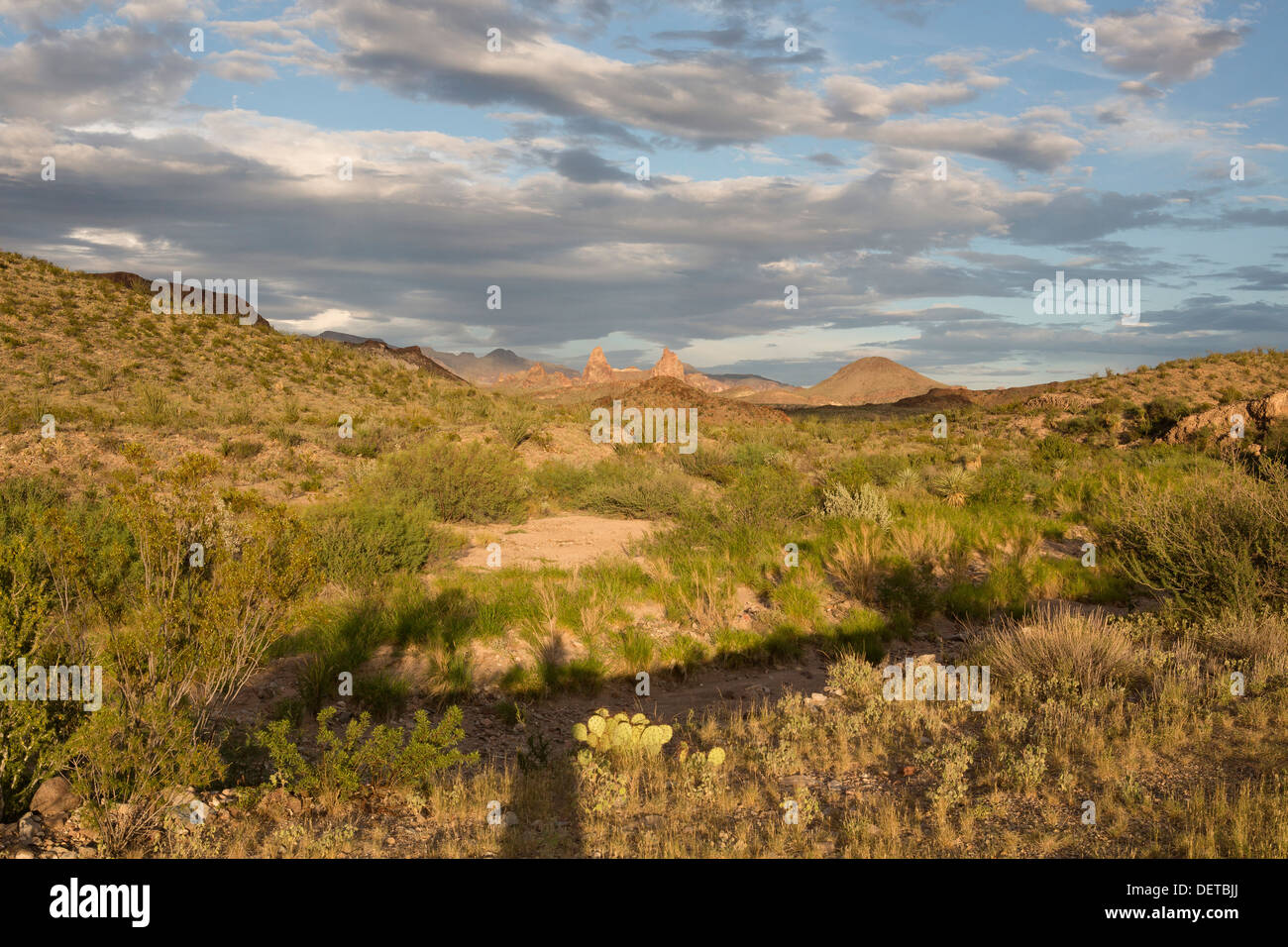mule ears peak Stock Photo - Alamy