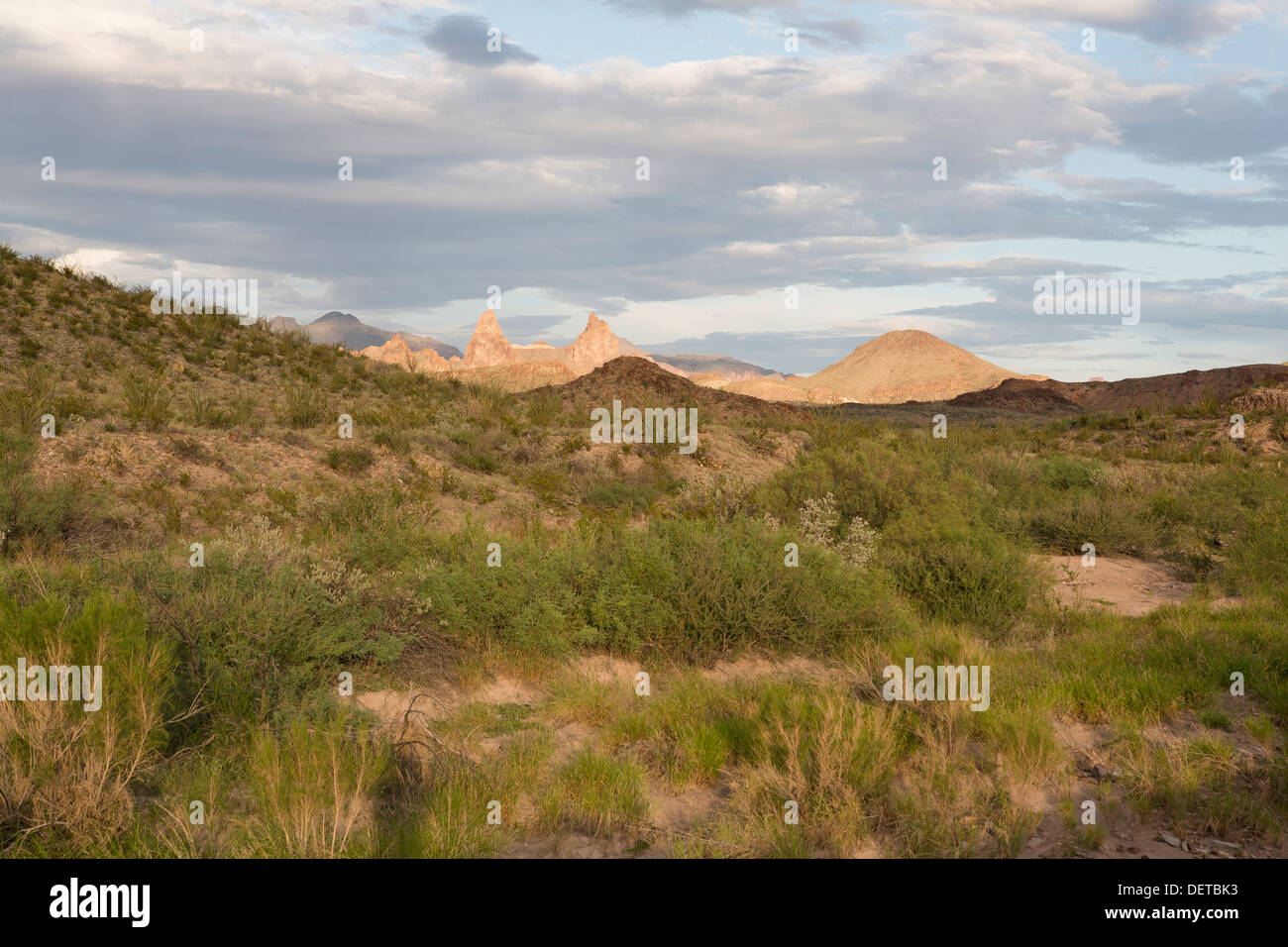 Mule ears peak Stock Photo - Alamy