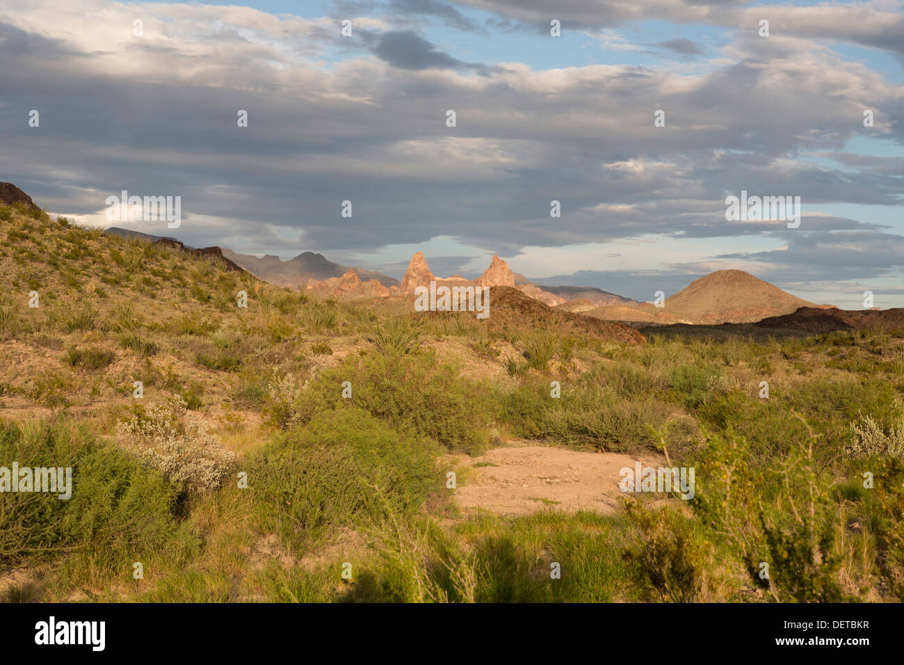 mule ears peak Stock Photo - Alamy