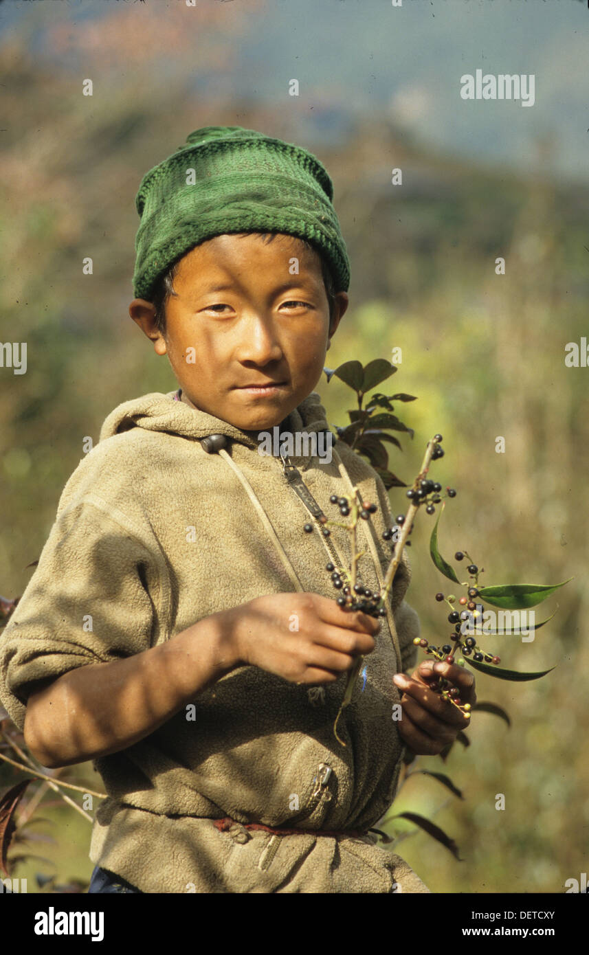 nepal, people, himalaya, portrait, face, asian, tourism, person ...