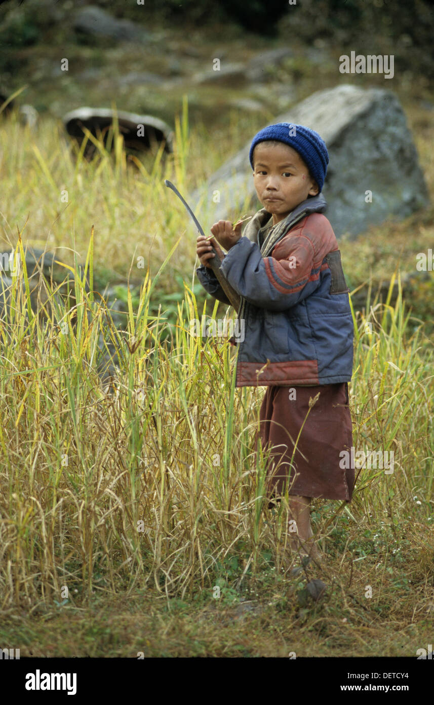 nepal, people, himalaya, portrait, face, asian, tourism, person ...