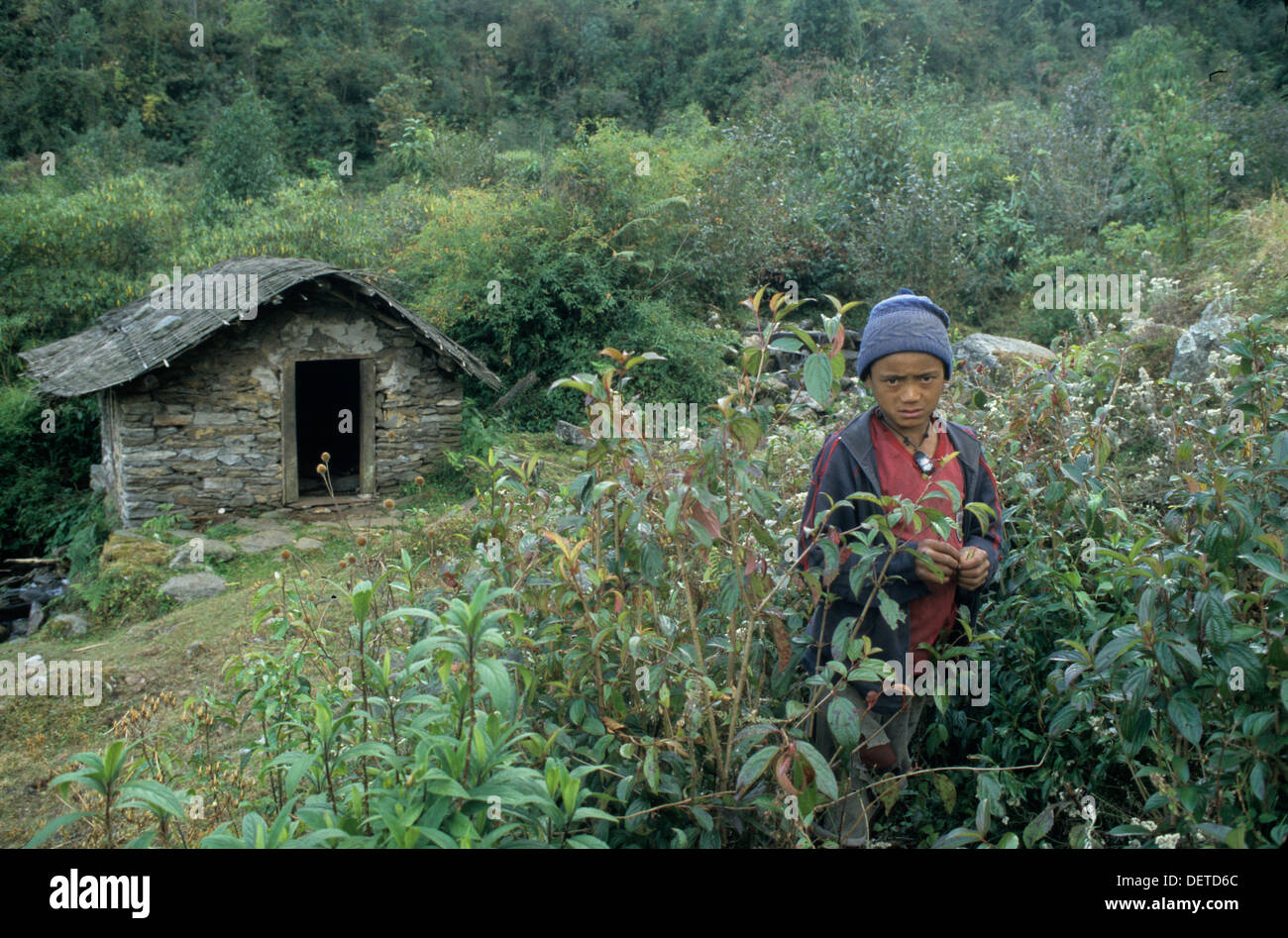 nepal, portrait, boy, asia, village, young, people, kathmandu, nepalese ...