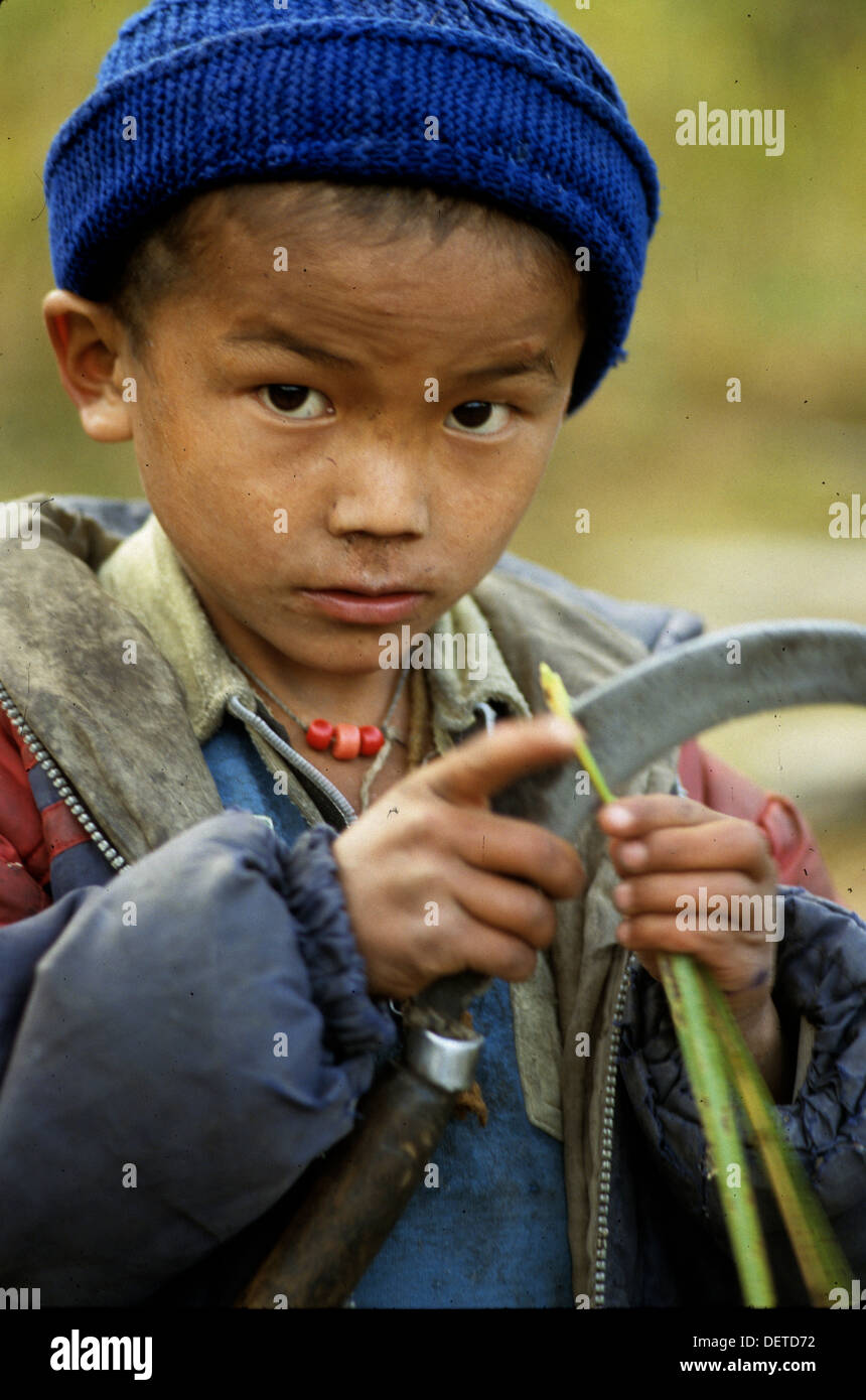 nepal, portrait, boy, asia, village, young, people, kathmandu, nepalese ...