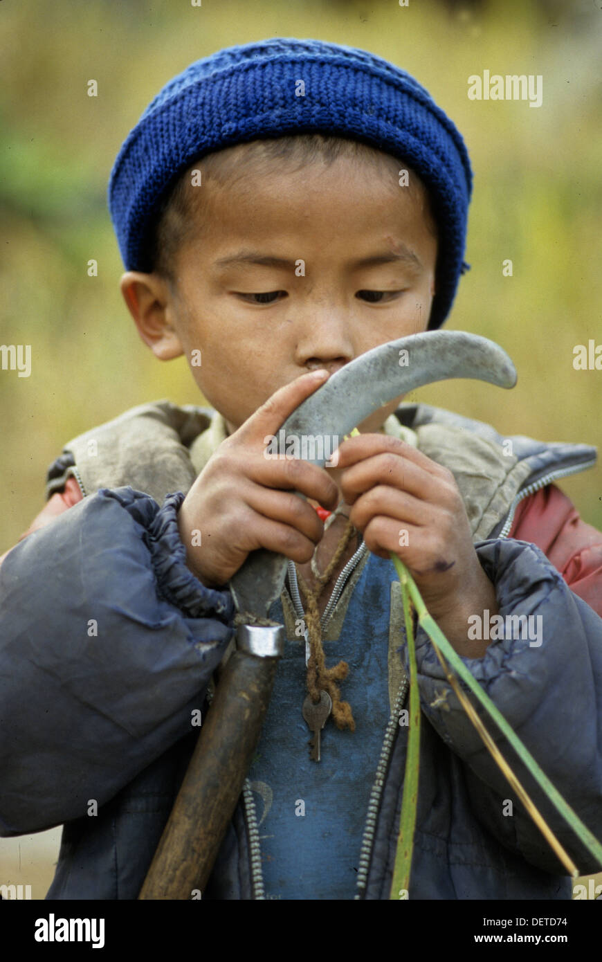 nepal, portrait, boy, asia, village, young, people, kathmandu, nepalese ...