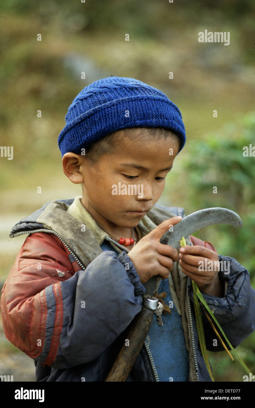 nepal, portrait, boy, asia, village, young, people, kathmandu, nepalese ...