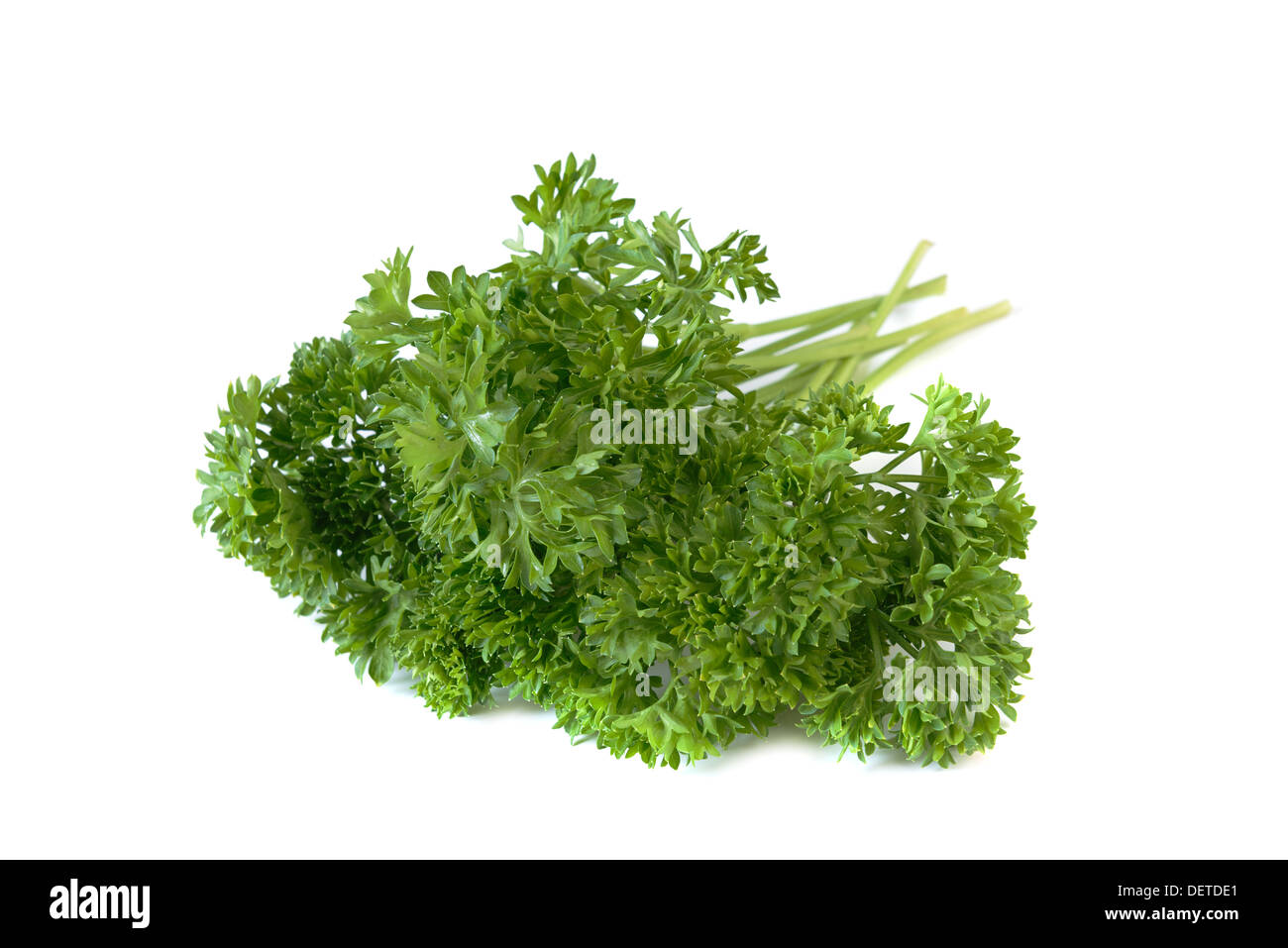 Bunch of fresh green curly parsley. Isolated on white Stock Photo - Alamy