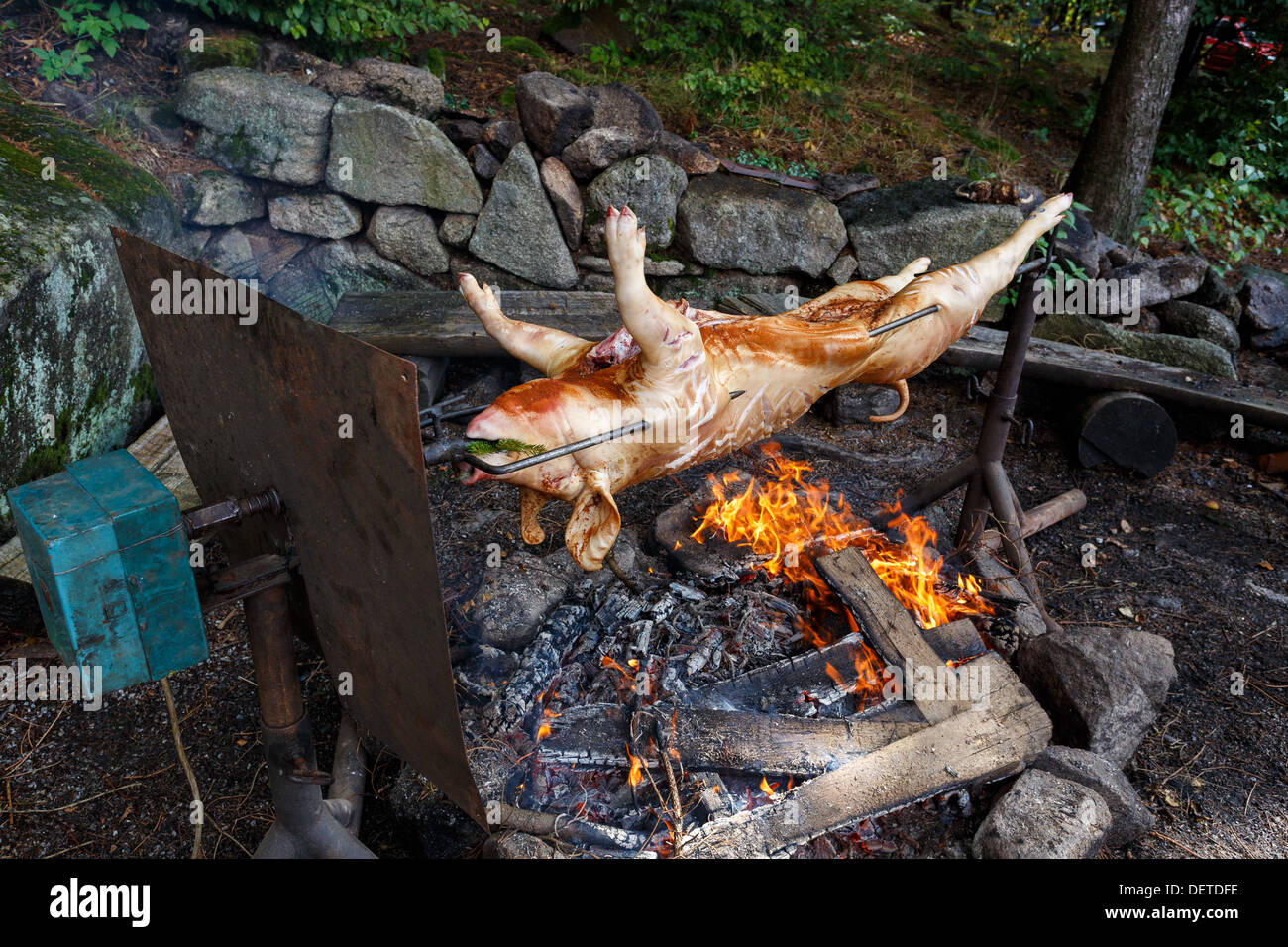 Outdoor roasting Pig on the grill in the open fire Stock Photo - Alamy