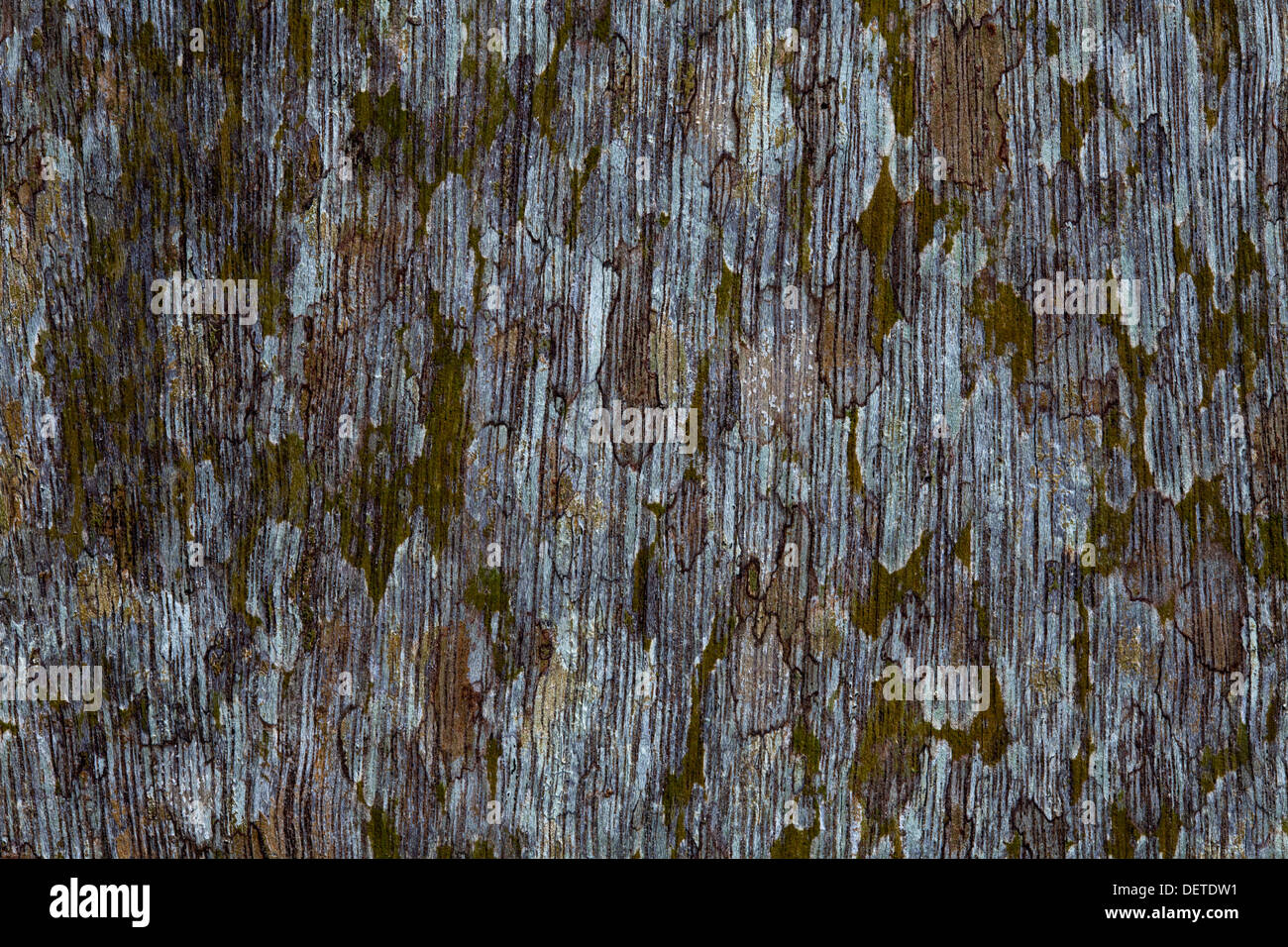 wood texture color shape volume line contrast background useful ...