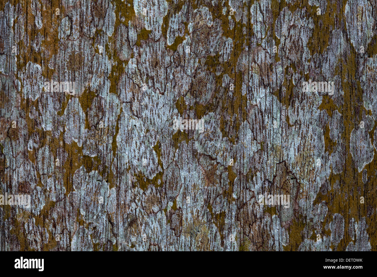 wood texture color shape volume line contrast background useful ...