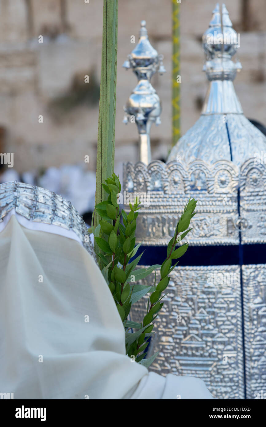 Jew praying with Lulav during the Sukkot Jewish festival. Western Wall ...