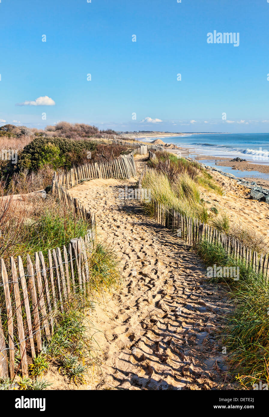 Footpath between wooden fences on the Atlantic Dune in Brittany, in ...