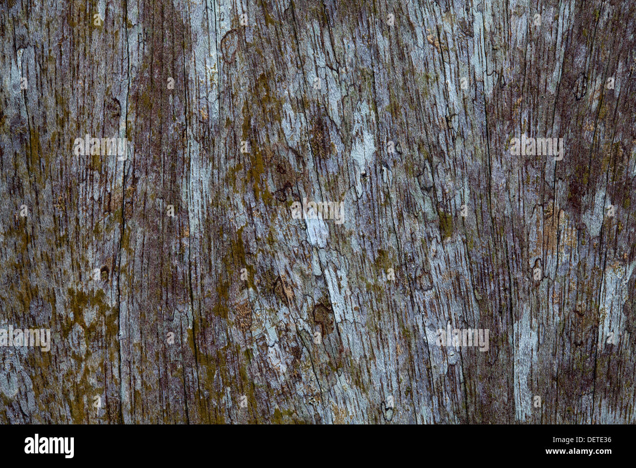 wood texture color shape volume line contrast background useful ...