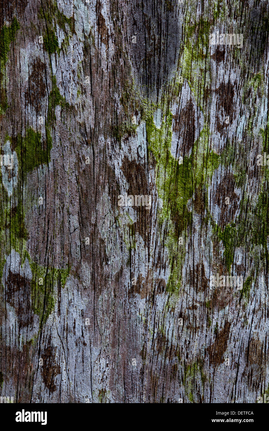wood texture color shape volume line contrast background useful ...
