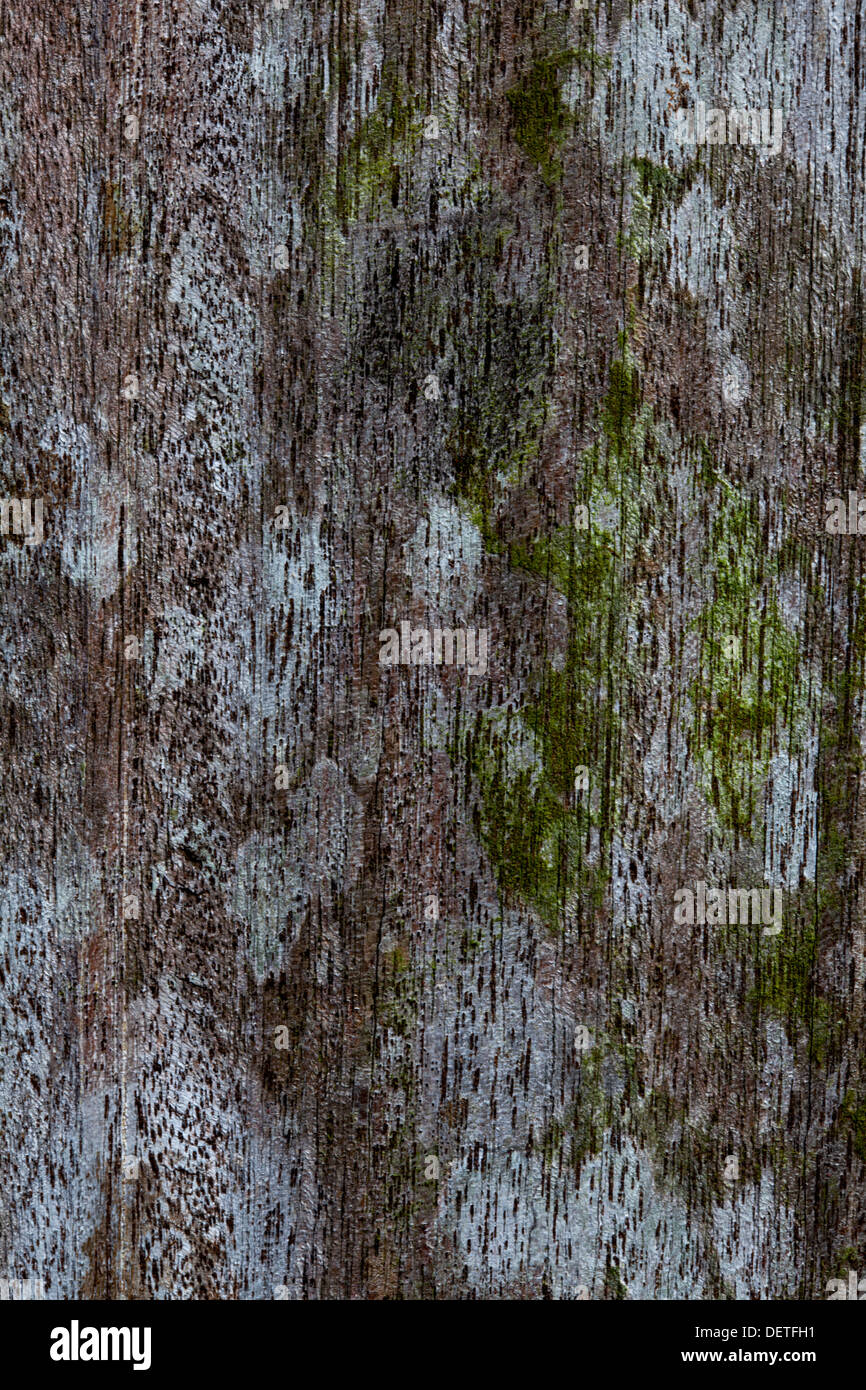 wood texture color shape volume line contrast background useful ...