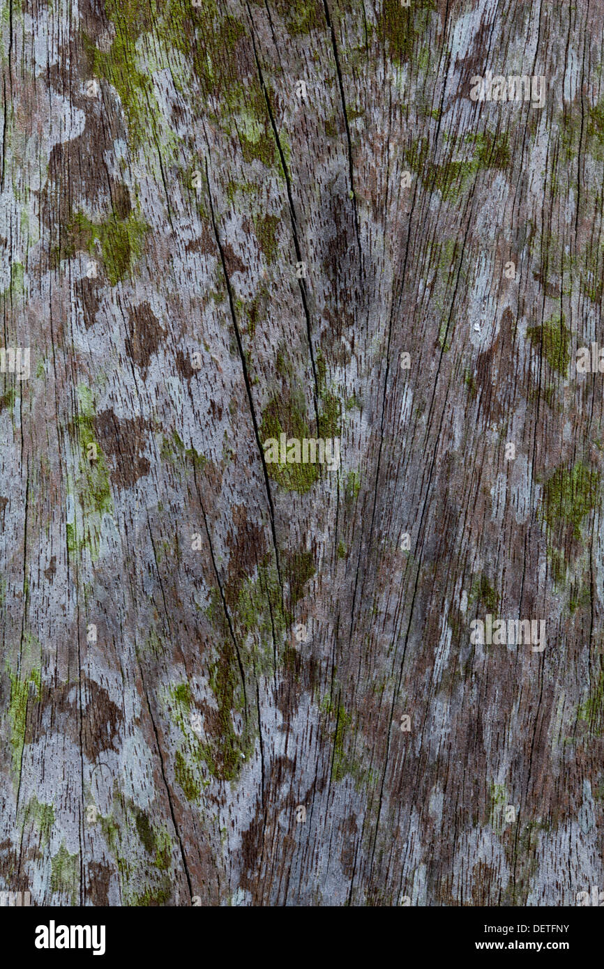 wood texture color shape volume line contrast background useful ...