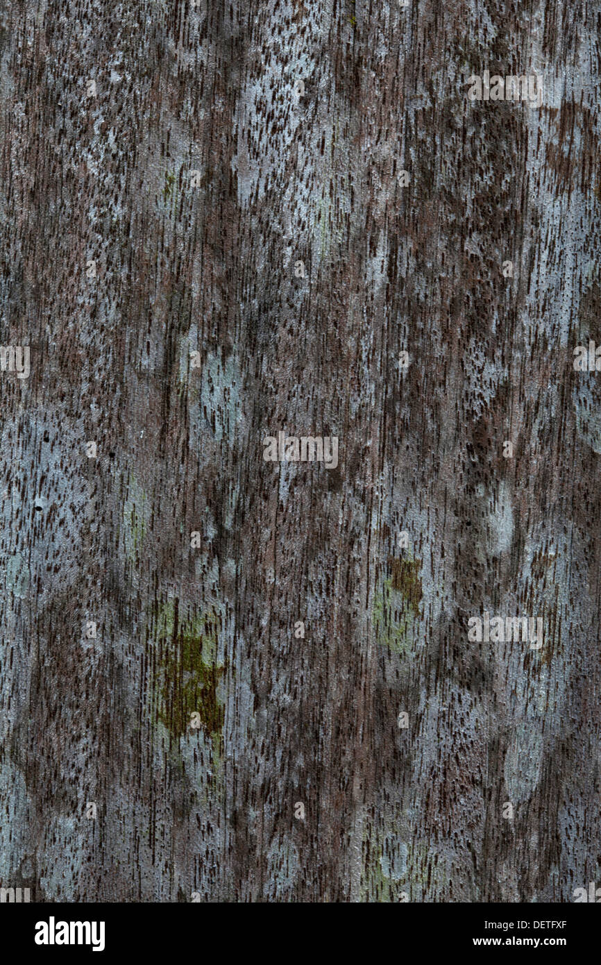 wood texture color shape volume line contrast background useful ...