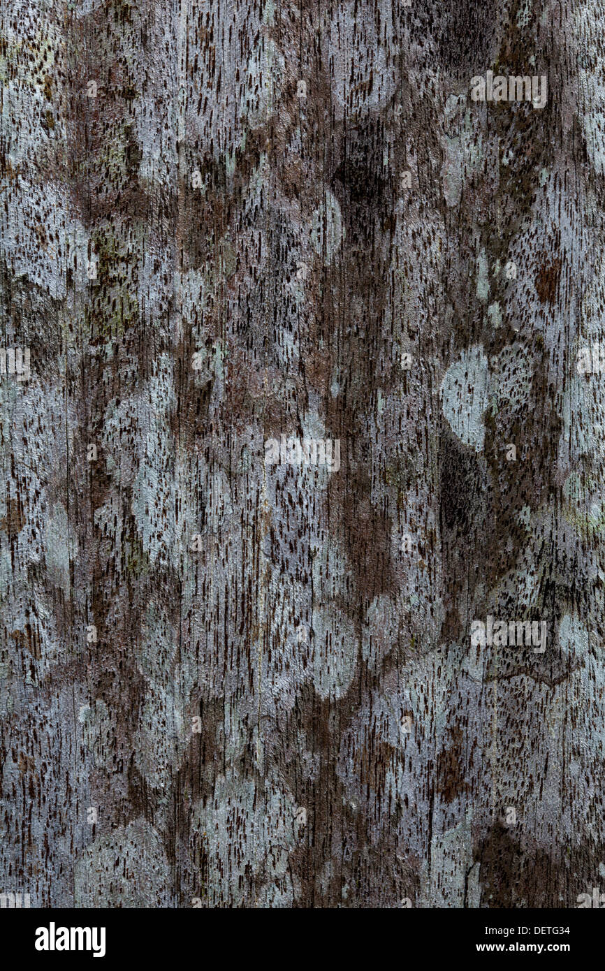 wood texture color shape volume line contrast background useful ...