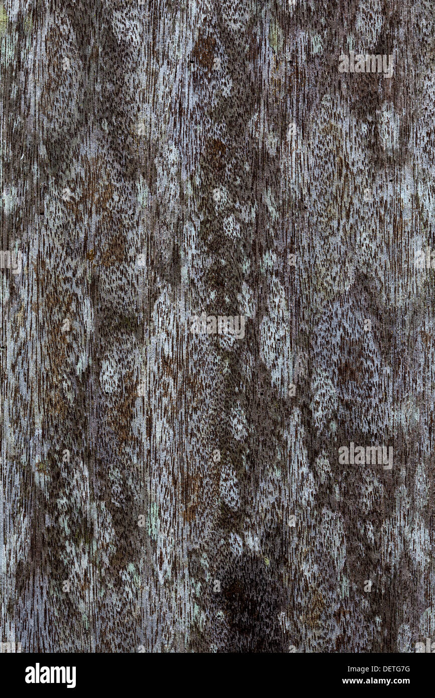 Texture Contrast Art