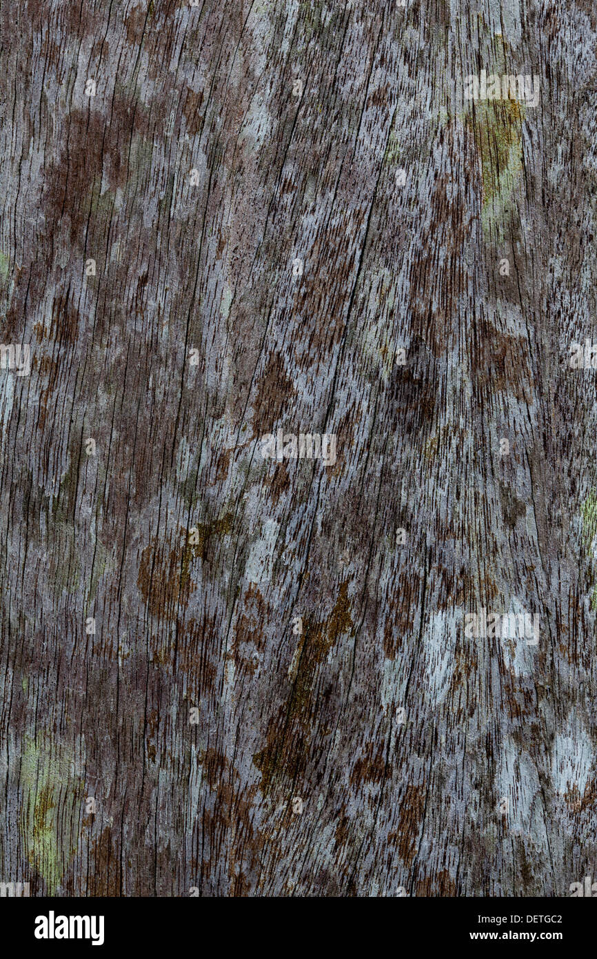 wood texture color shape volume line contrast background useful ...