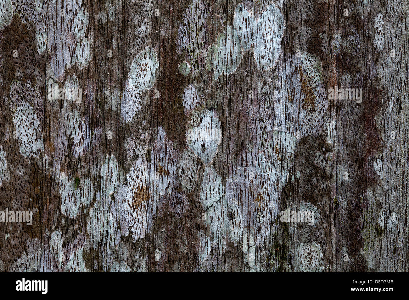 wood texture color shape volume line contrast background useful ...