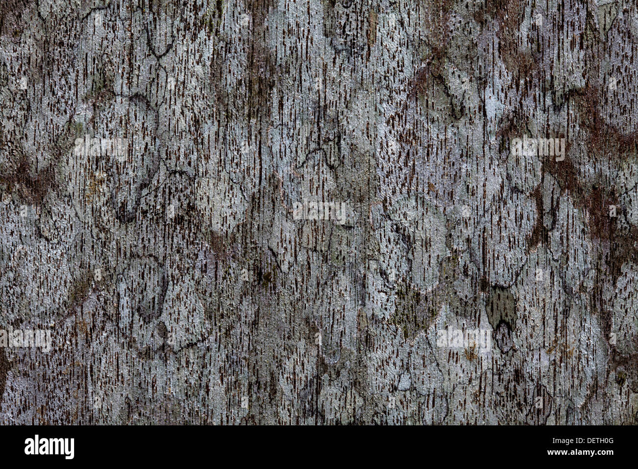 wood texture color shape volume line contrast background useful ...