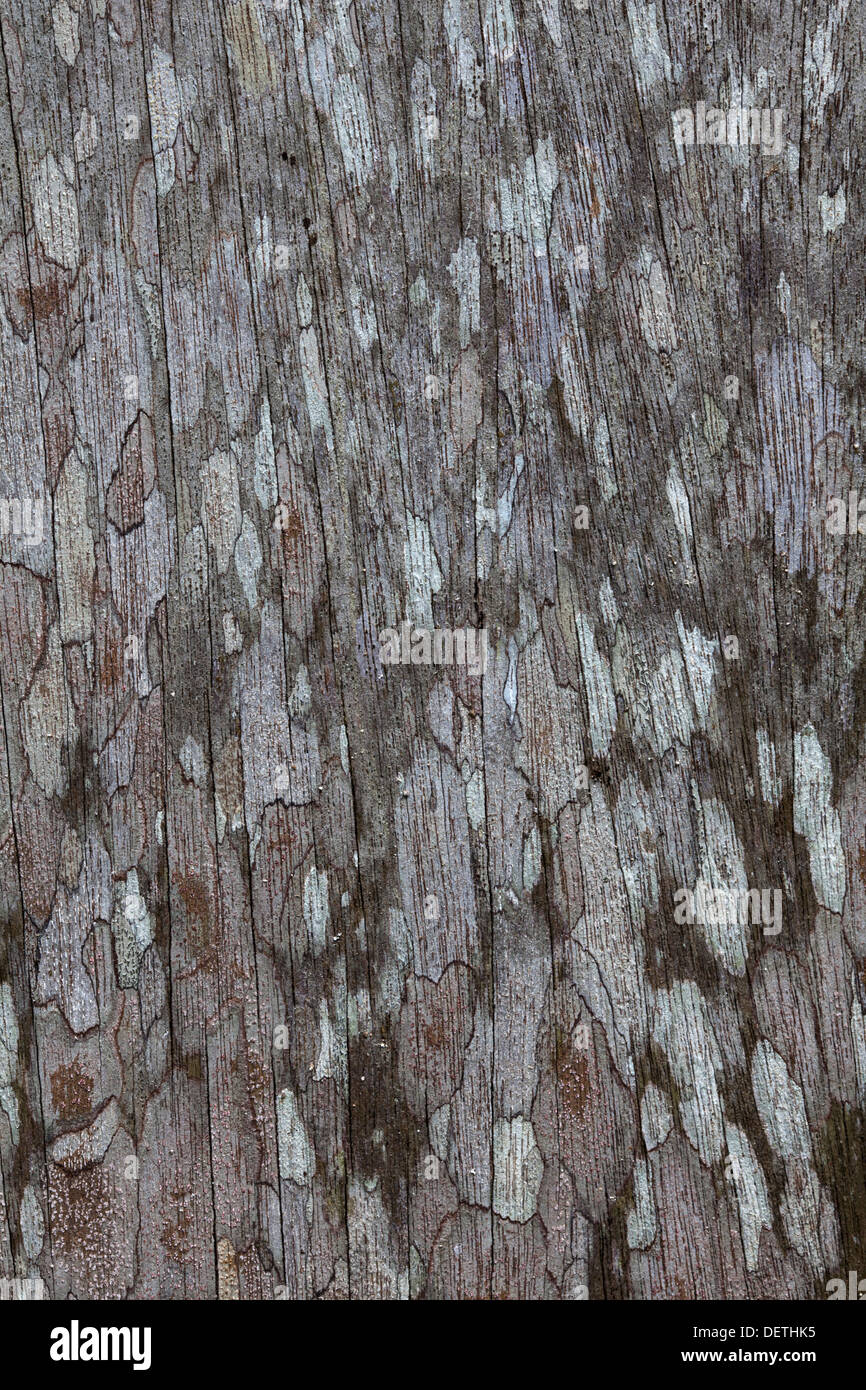 wood texture color shape volume line contrast background useful ...