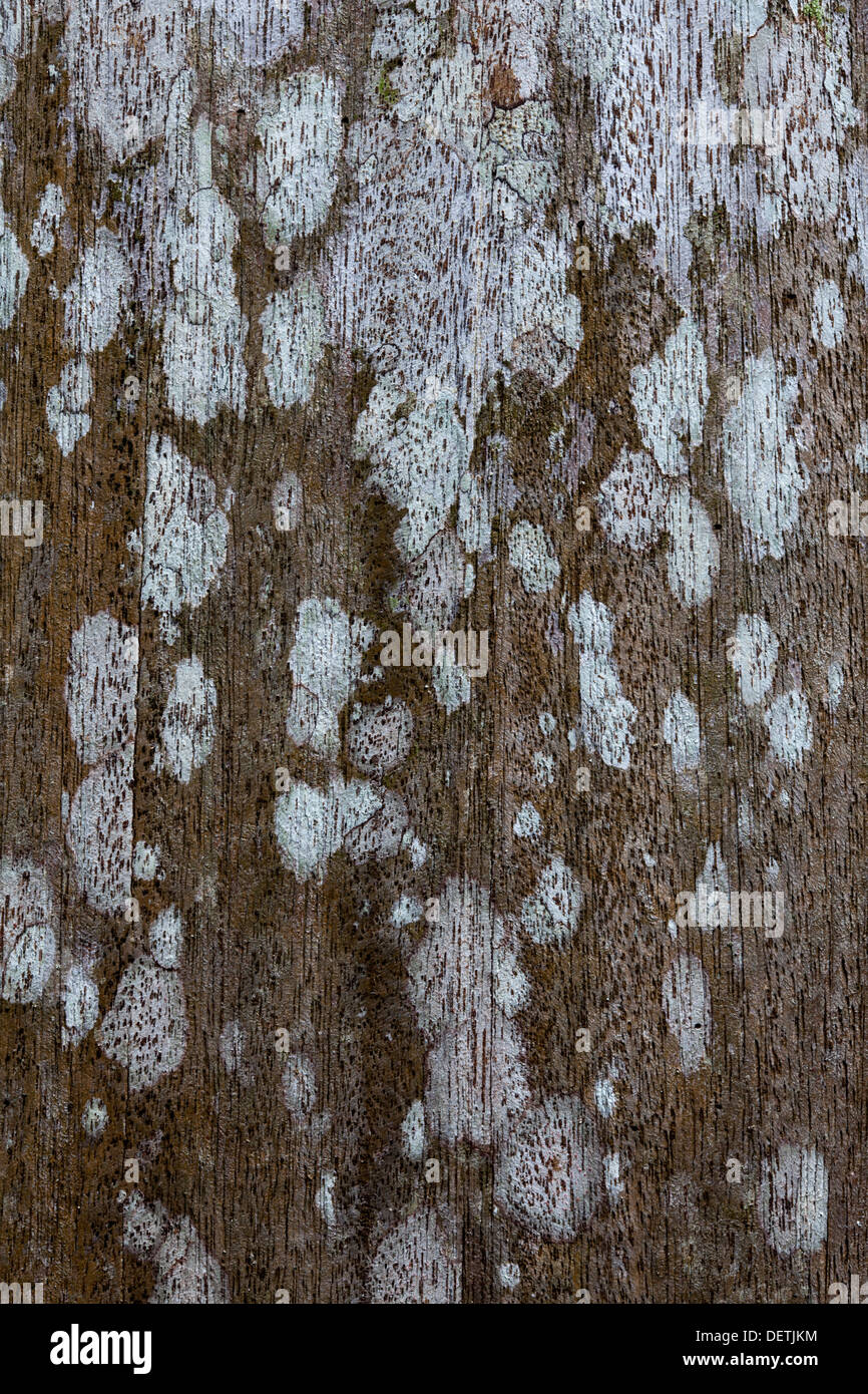 wood texture color shape volume line contrast background useful ...