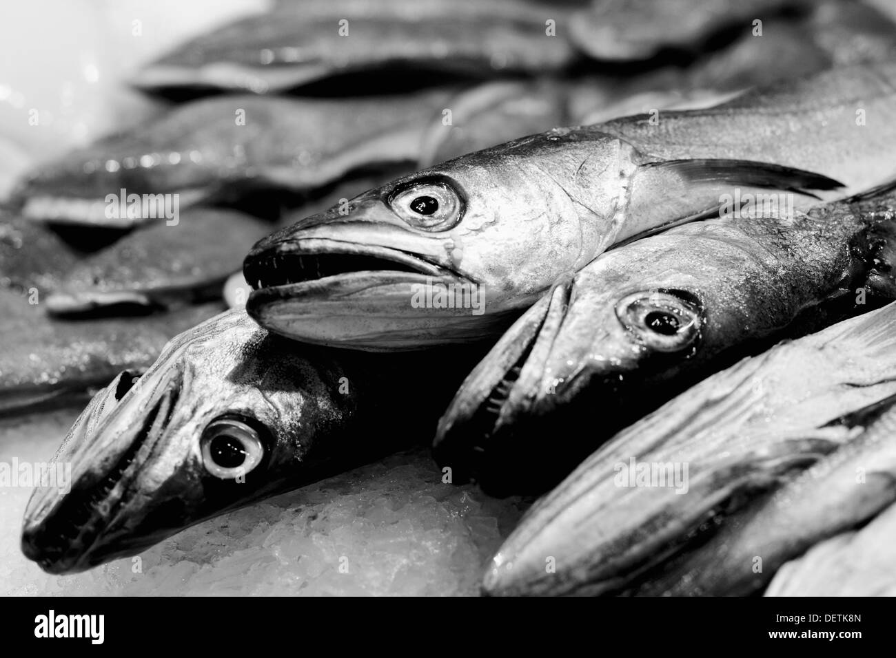 Market fish Black and White Stock Photos & Images - Alamy