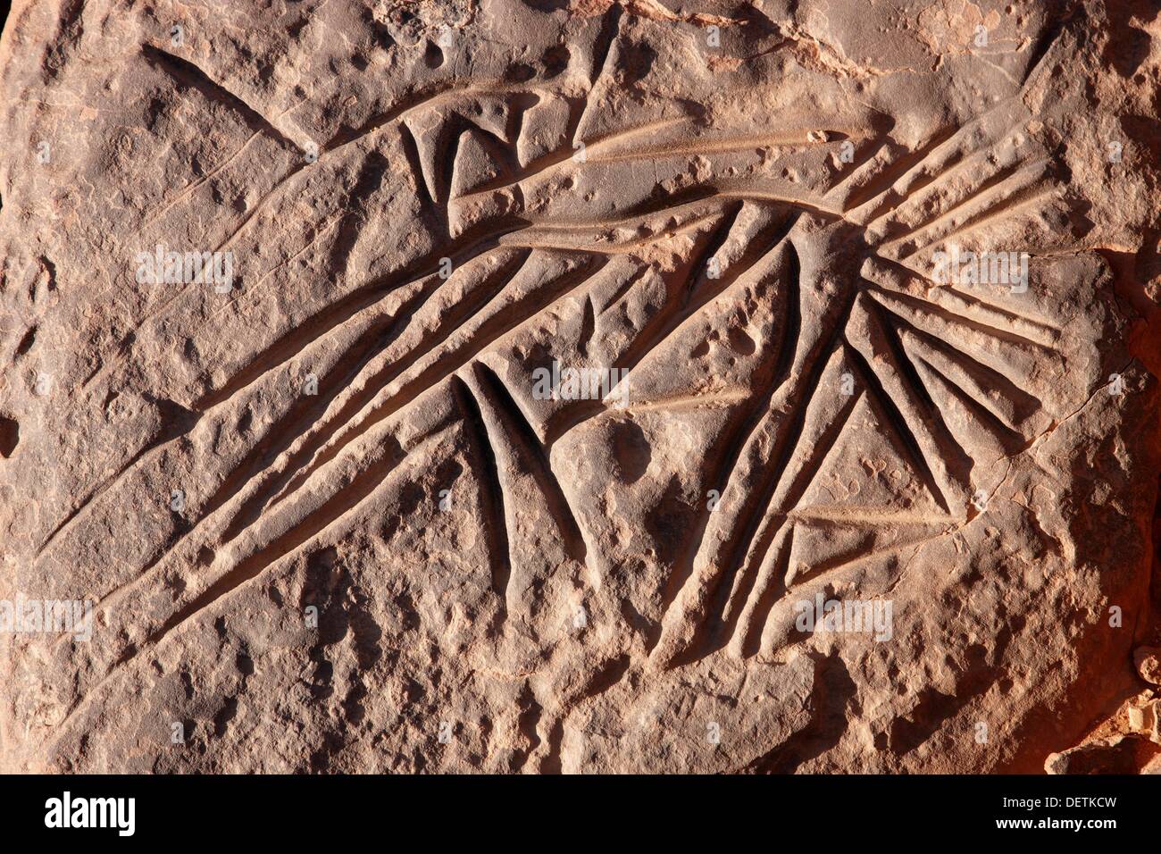 Prehistoric Relief High Resolution Stock Photography and Images - Alamy
