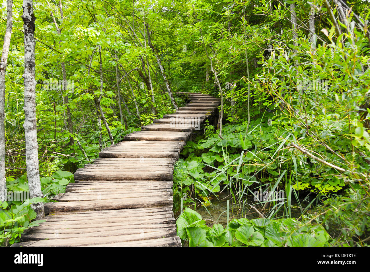 Timber walkway hi-res stock photography and images - Alamy