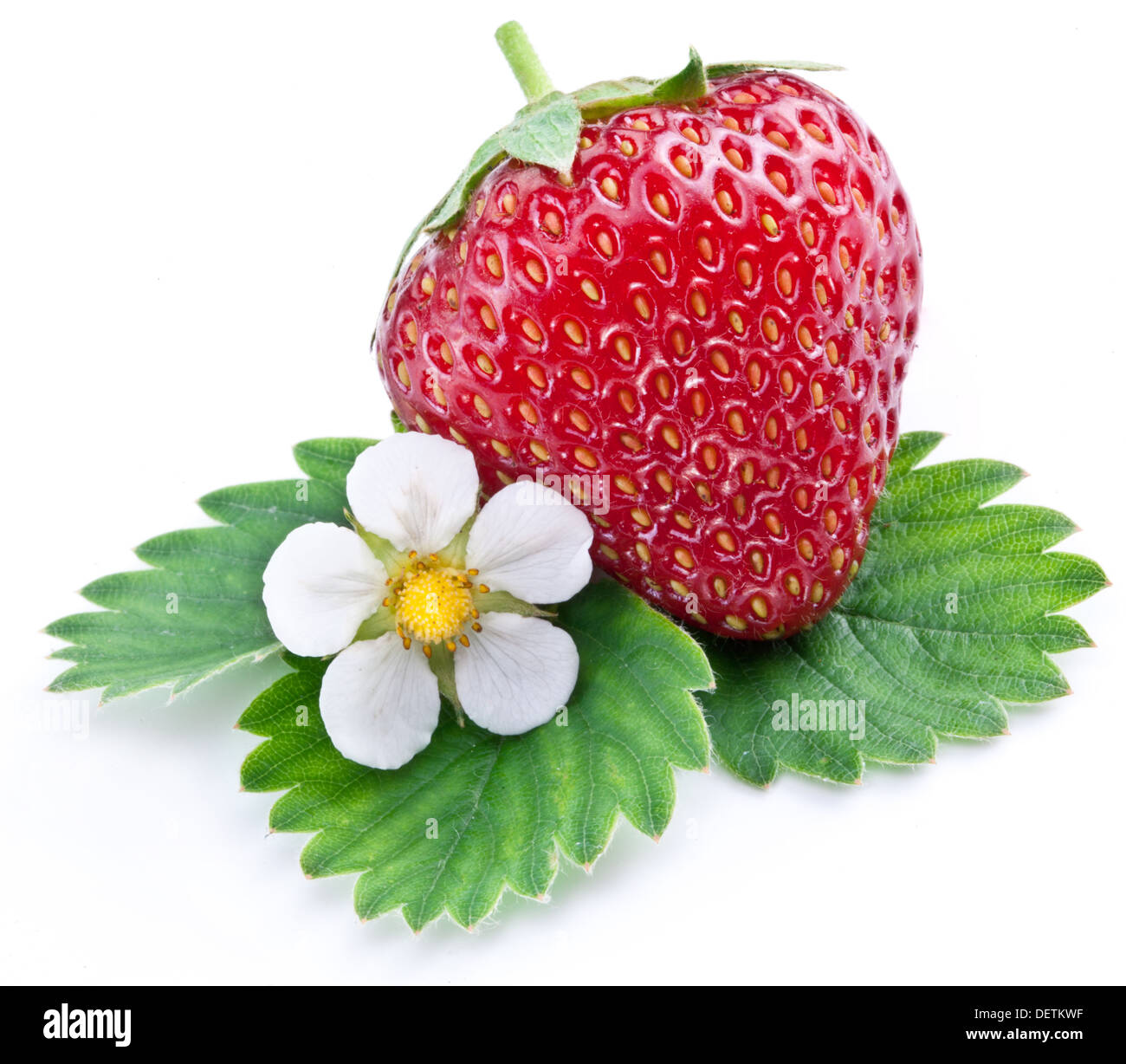 One strawberry with leaves isolated on white background Stock Photo - Alamy