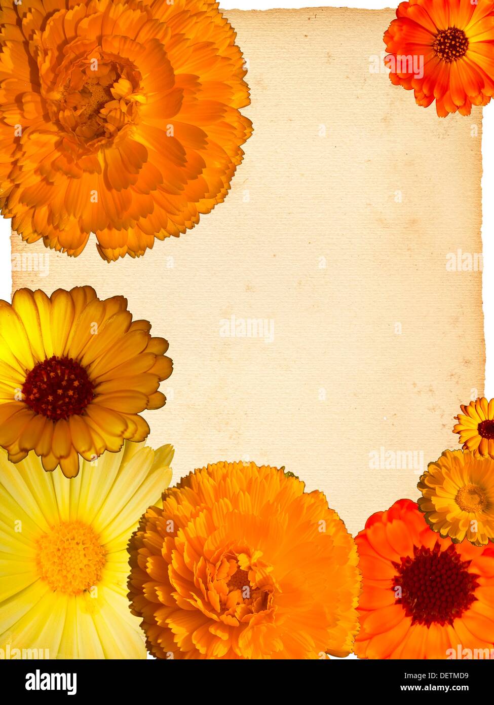 Papirus paper hi-res stock photography and images - Alamy