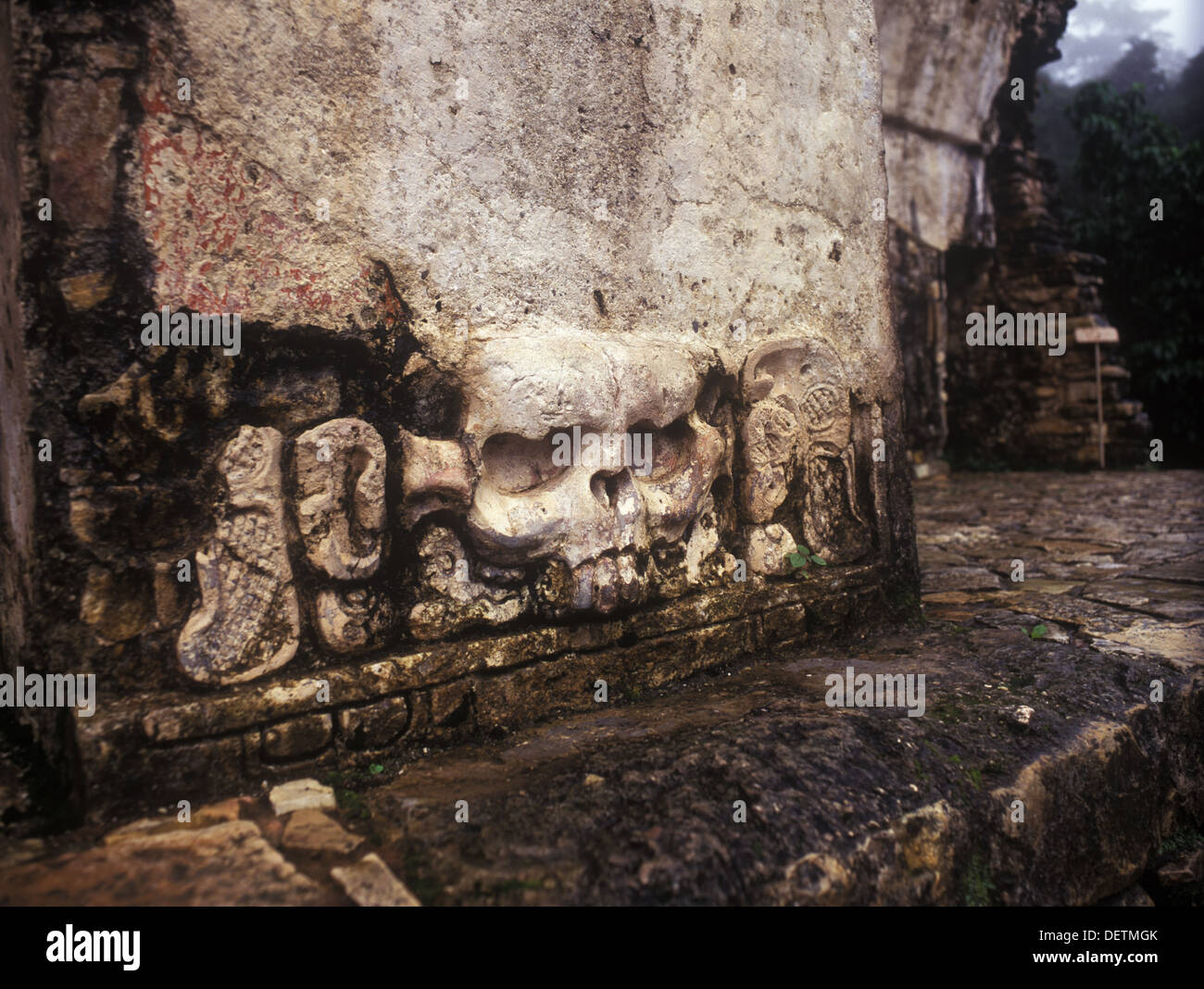 A view of the Temple of the Skull, Palenque, Chiapas, Mexico Stock ...