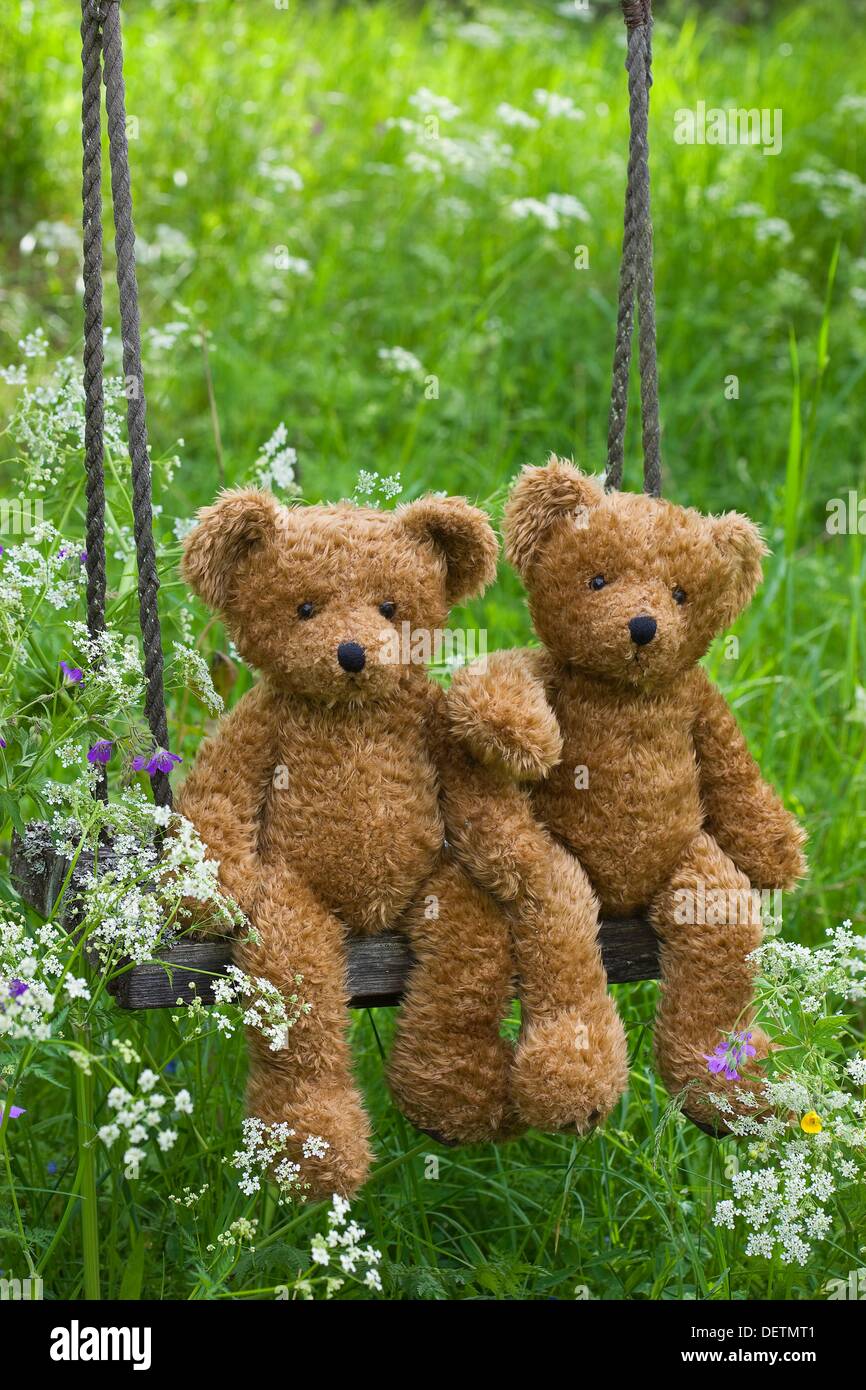 Two teddies hi-res stock photography and images - Alamy