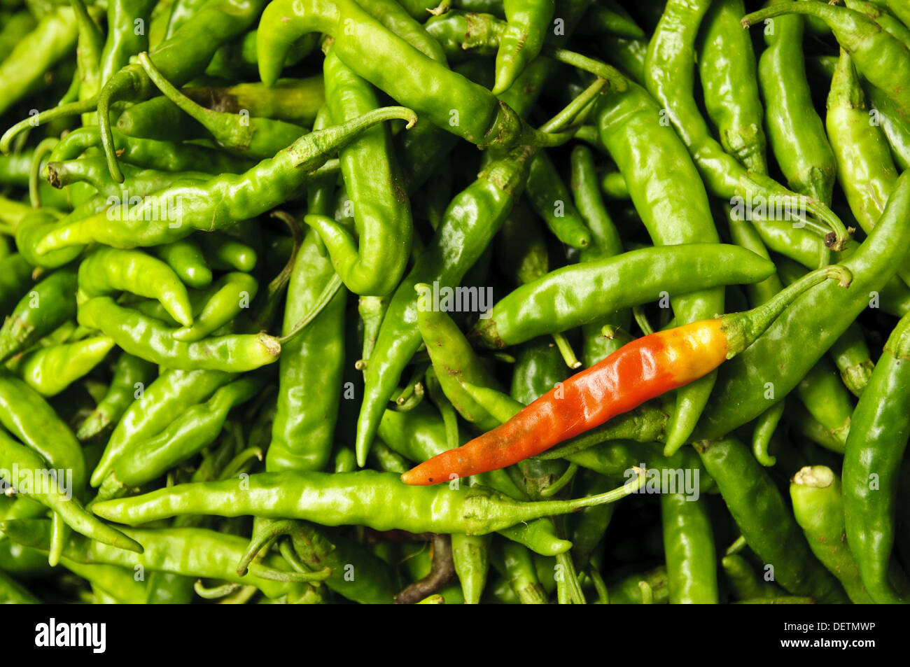 India Chillies High Resolution Stock Photography and Images - Alamy