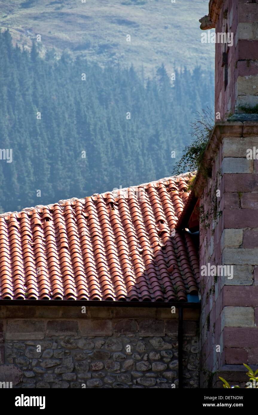 All teran hi-res stock photography and images - Alamy