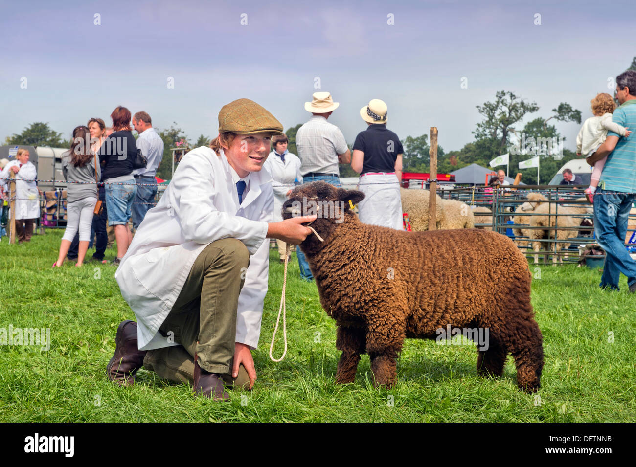 A boy with sheep at Berkeley Show, Gloucestershire Aug 2013 Stock Photo ...