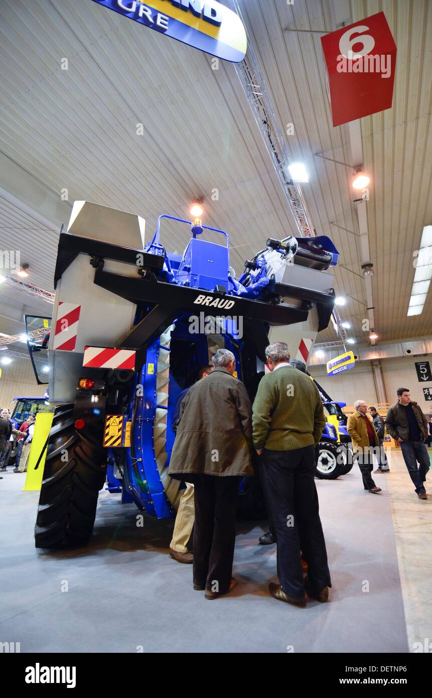 Vine growing techniques hi-res stock photography and images - Alamy