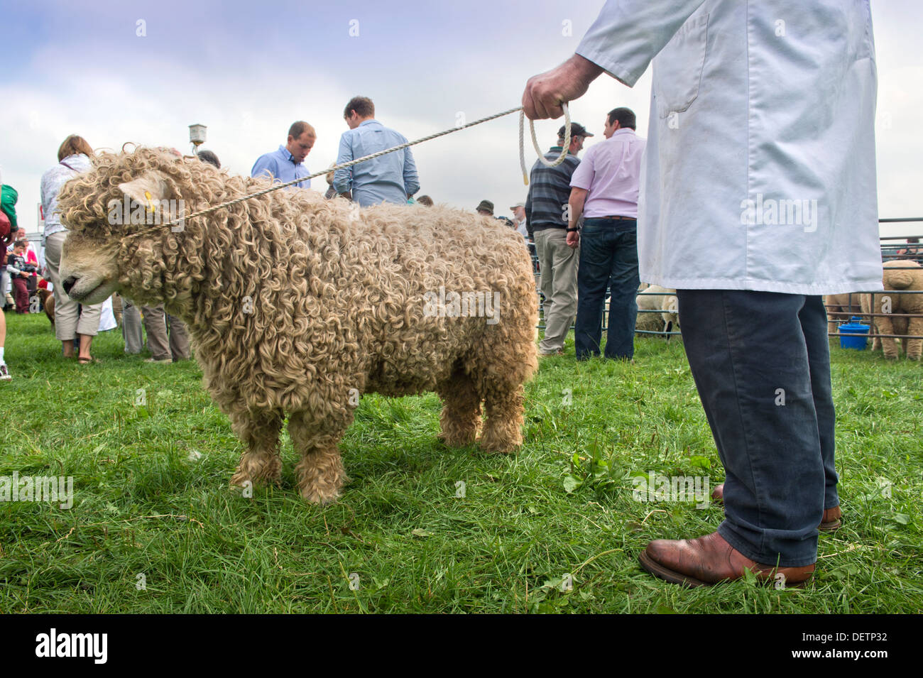 Man farmer farming lead hi-res stock photography and images - Alamy