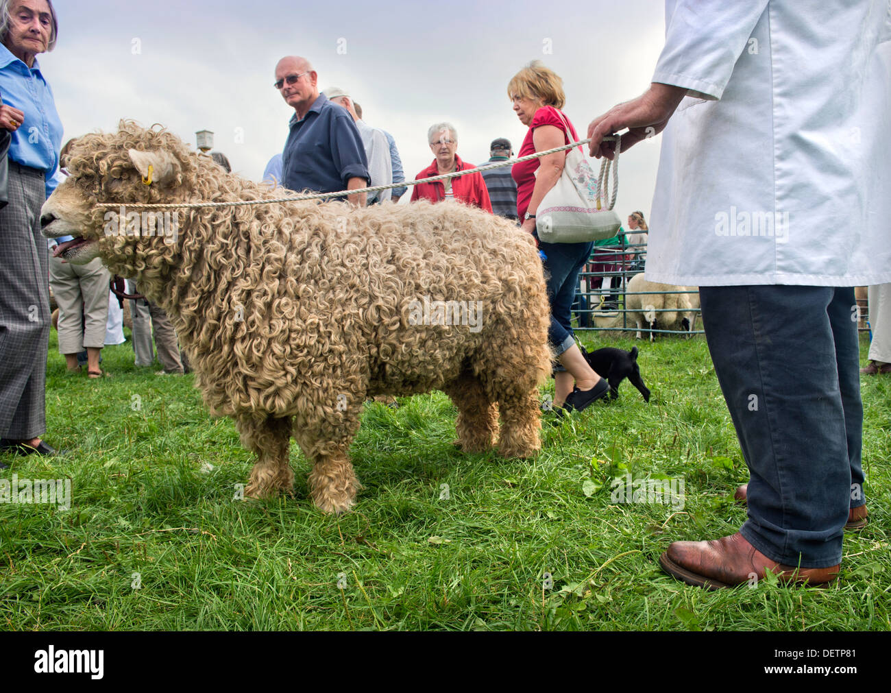 Man farmer farming lead hi-res stock photography and images - Alamy