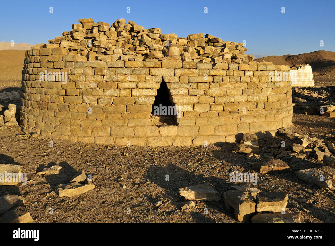 Tomb Bat High Resolution Stock Photography and Images - Alamy