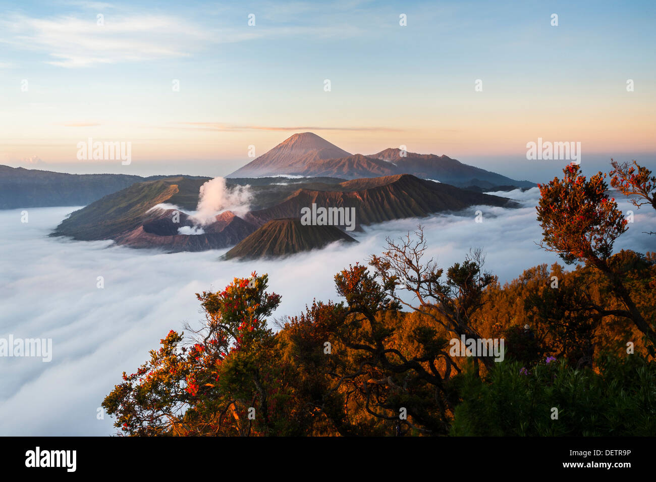 Sunrise on volcano Bromo in Java island in Indonesia Stock Photo - Alamy