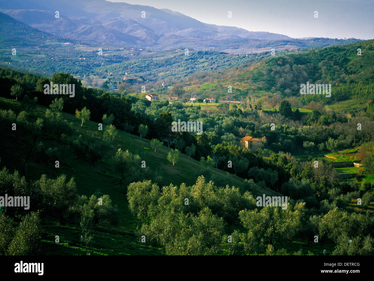 Ascea national park in Campania, southern Italy Stock Photo - Alamy