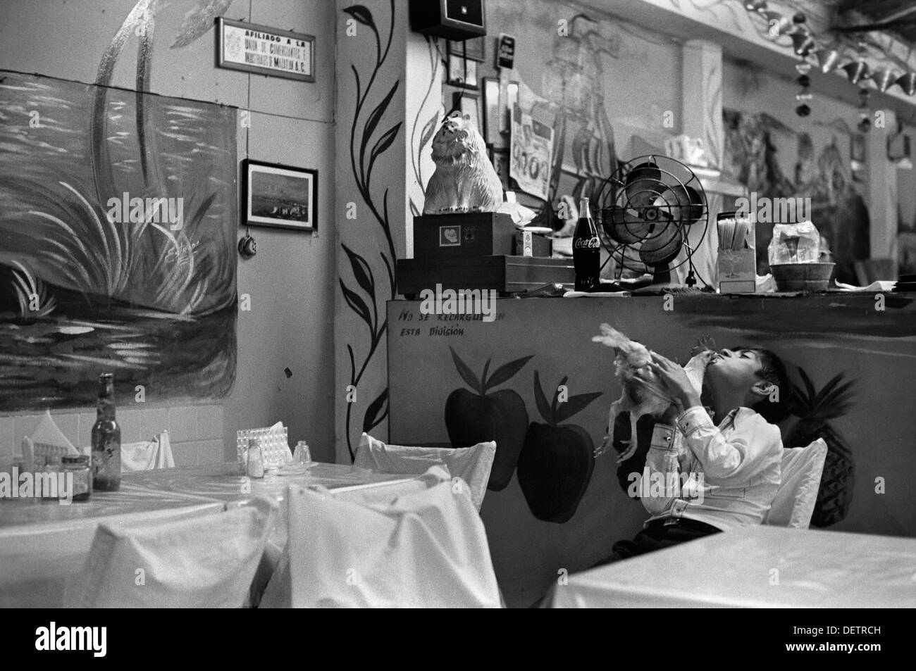 Mazatlan Mexico 1970S. An unusual domesticated pets pet chicken. Young ...