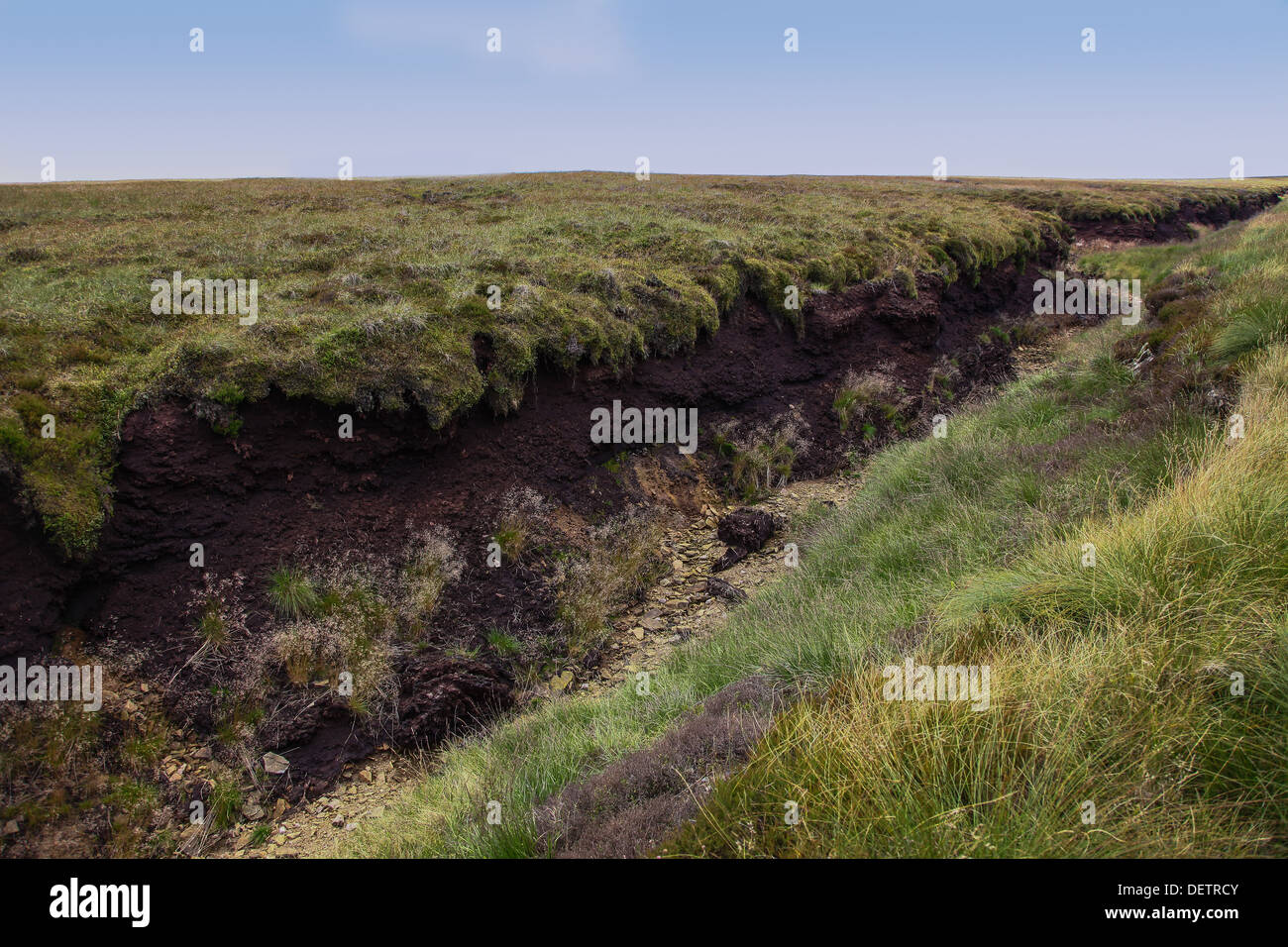 An eroded peat grough or gully on Danebower hollow Dane Bower Cheshire ...