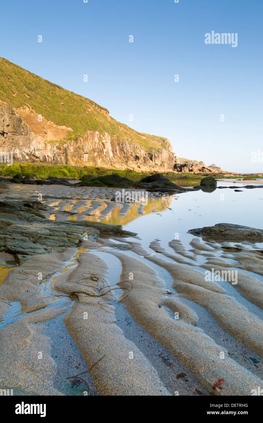 Rinsey hi-res stock photography and images - Alamy