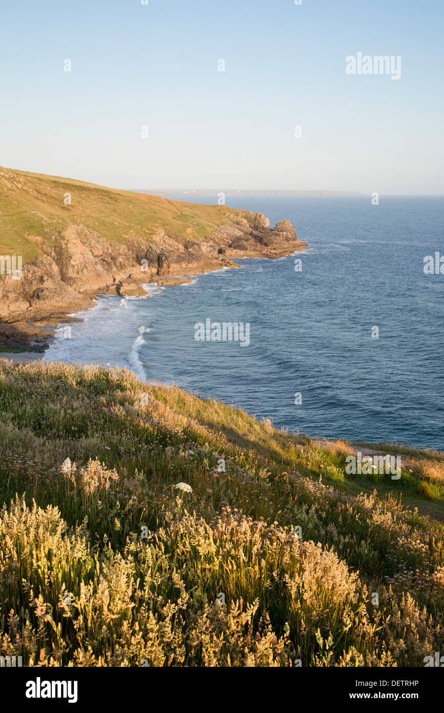 Rinsey hi-res stock photography and images - Alamy